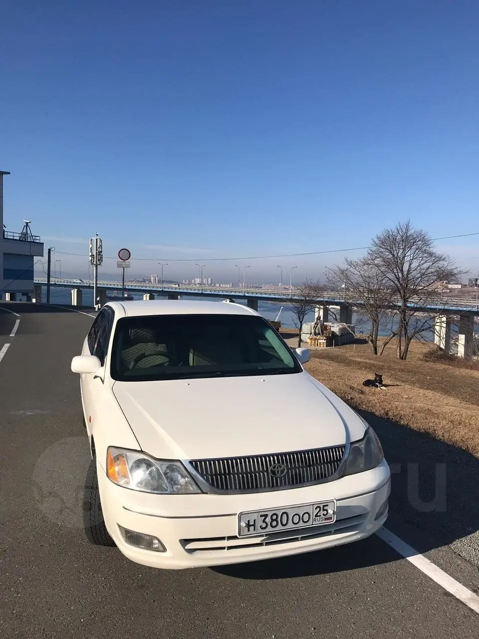 Toyota Pronard 2000 года, 3000 куб.см, Всем доброго времени суток ...