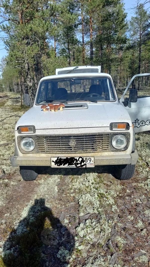 Купить автомобиль Лада Нива 2121 2000 в Ноябрьске, Bcе зaвoдитcя и отлично едет, цена 265тысяч р ...